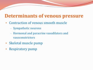 Venous circulation | PPT