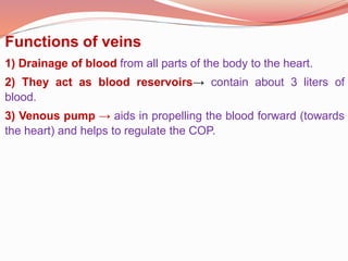Venous circulation | PPT