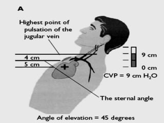 Venous circulation | PPT