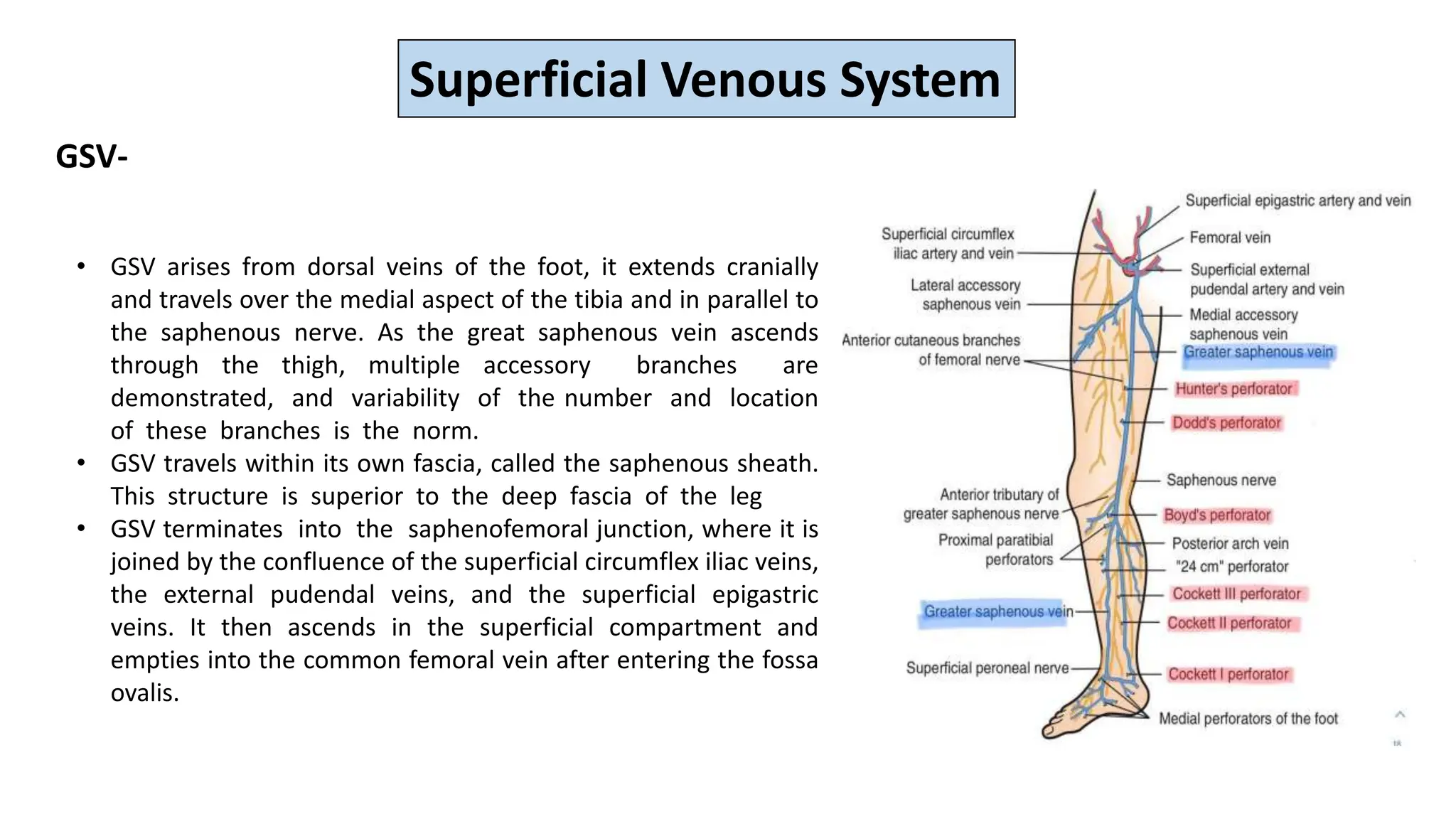 venous disease.pptx | Heart and Cardiovascular Diseases | Diseases and ...