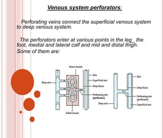 VENOUS DISORDERS AND MANAGMENT 4400.pptx
