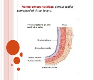VENOUS DISORDERS AND MANAGMENT 4400.pptx