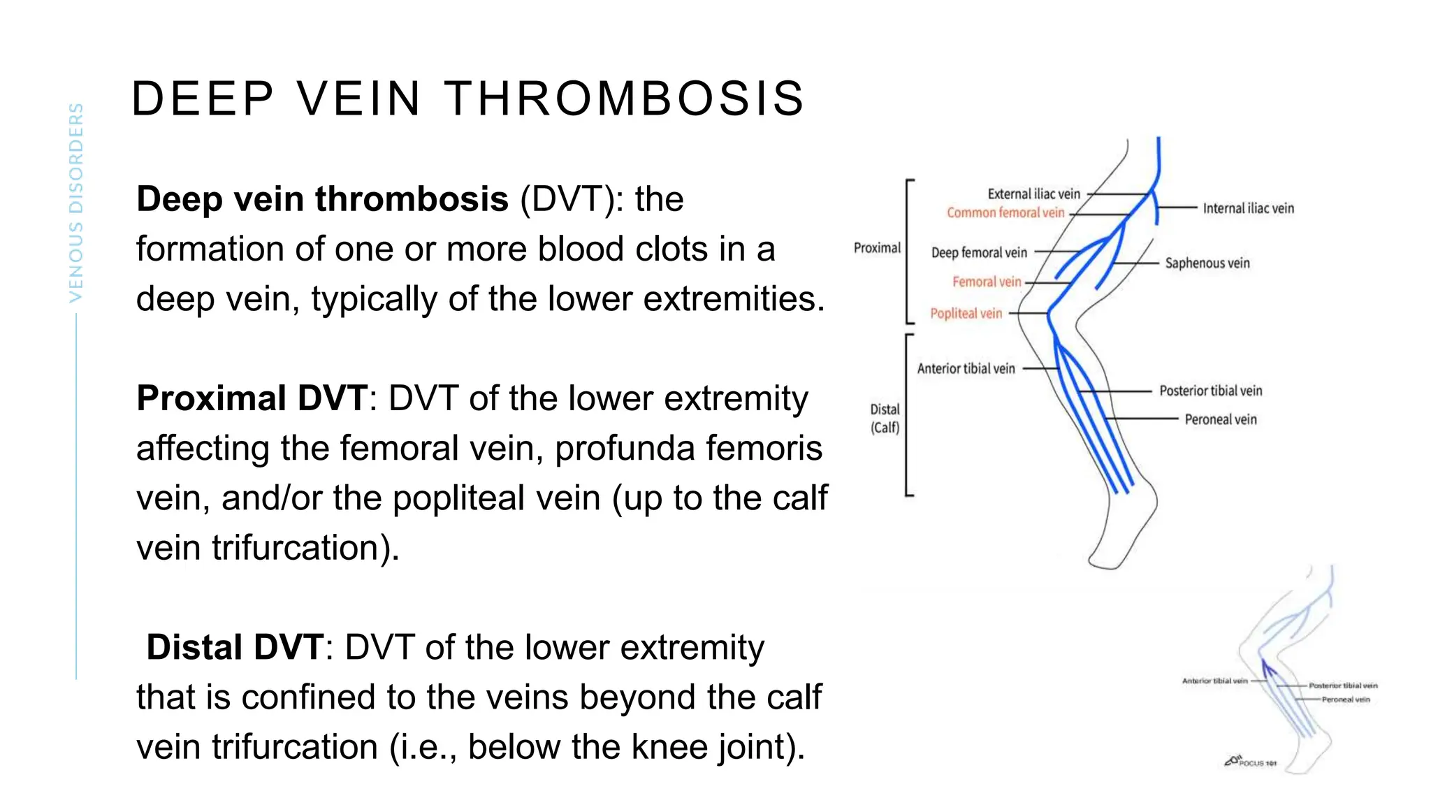 Venous disorders of the lower limbs, general surgery | PPTX