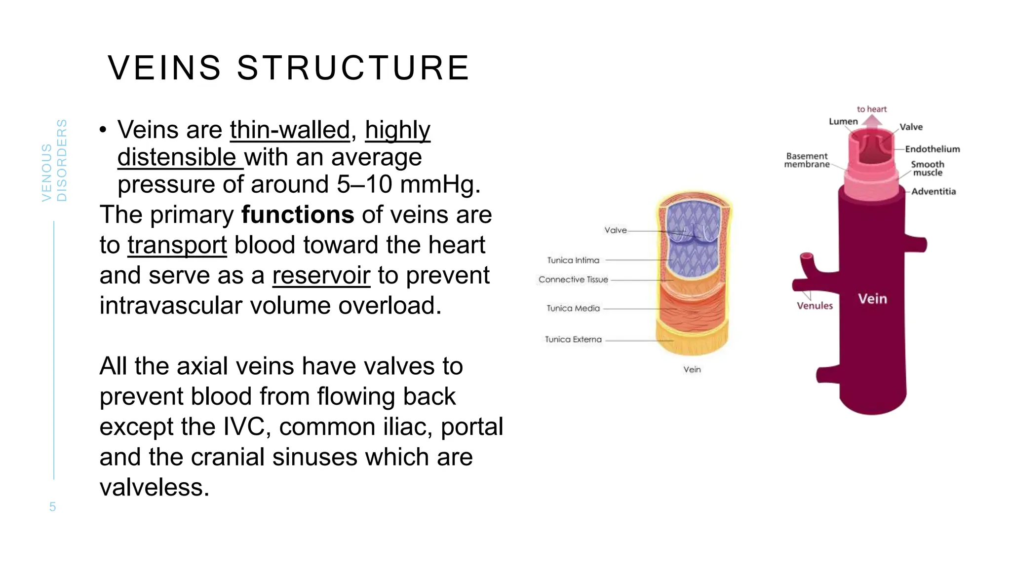 Venous disorders of the lower limbs, general surgery | PPTX