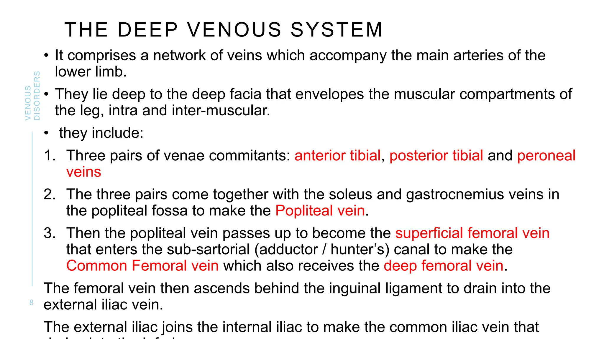 Venous disorders of the lower limbs, general surgery | PPTX