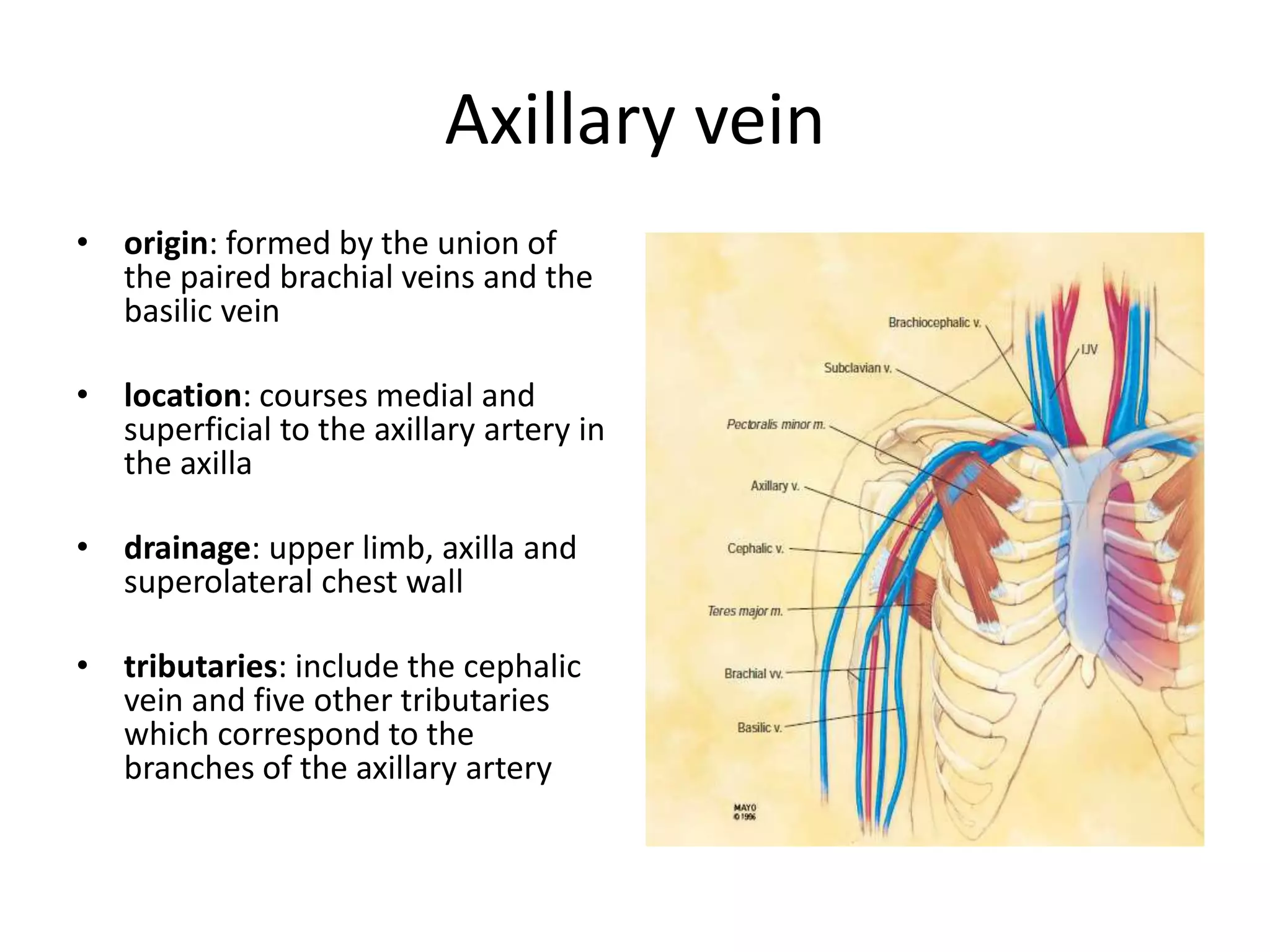 Venous Doppler upper limb | PPTX