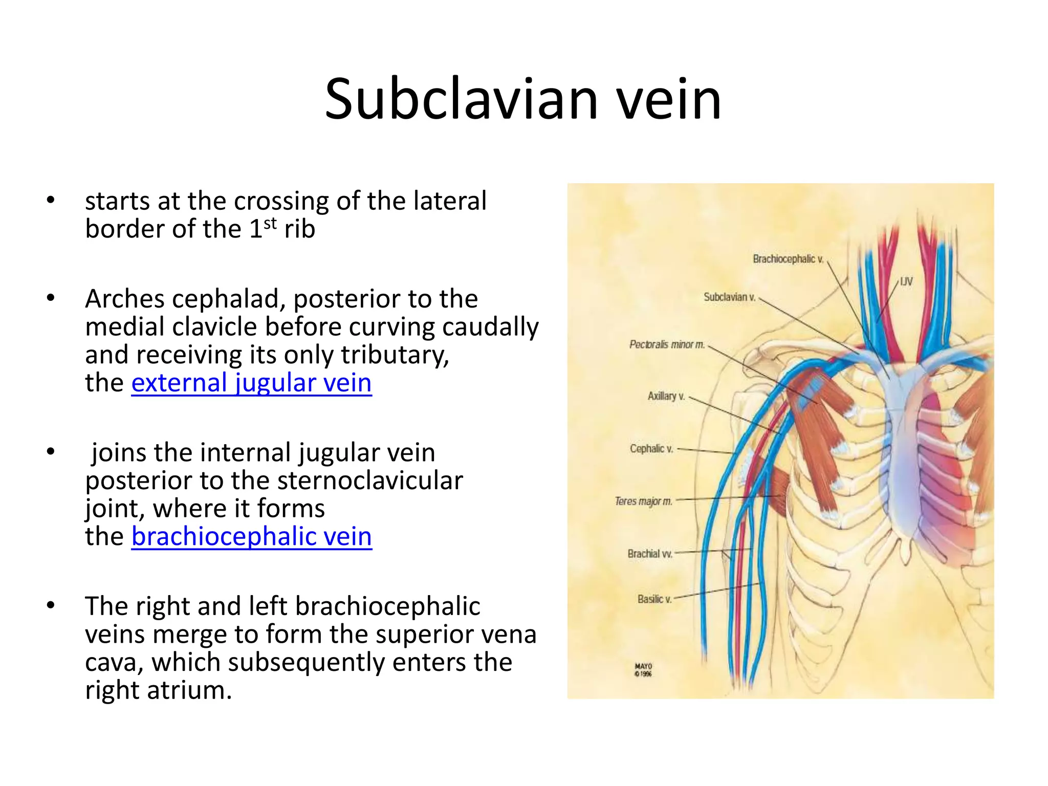Venous Doppler upper limb | PPTX