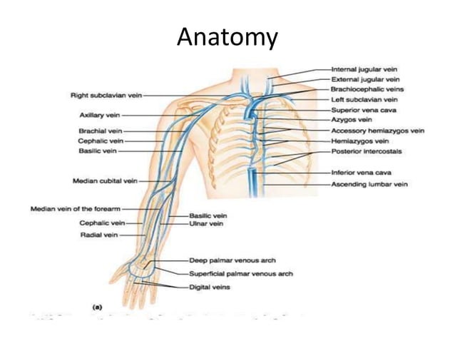 Venous Doppler upper limb | PPTX