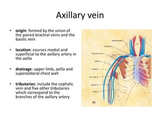 Venous Doppler upper limb | PPTX