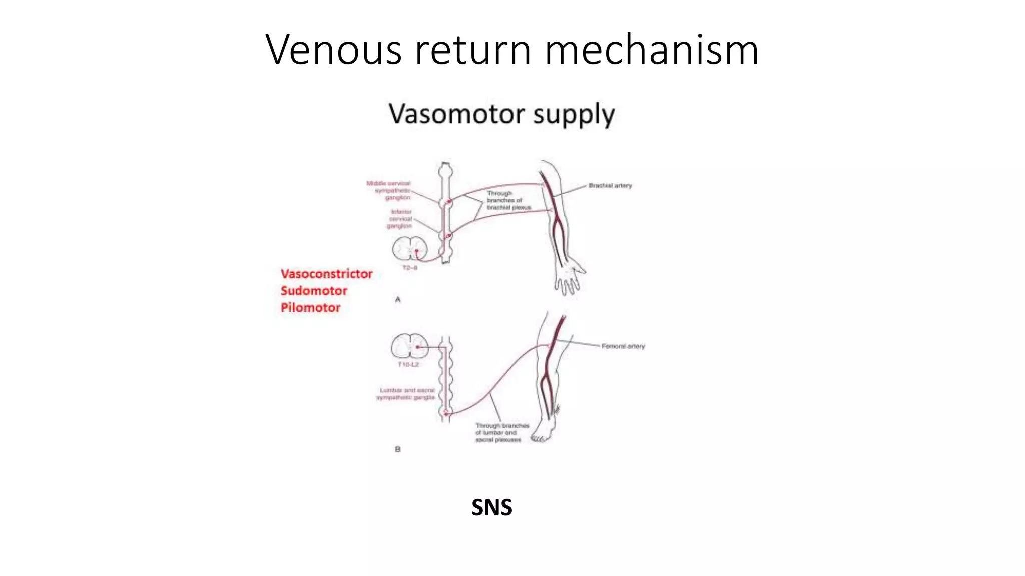 Venous drainage | PPTX