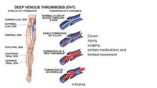 Venous drainage | PPTX