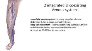 Venous drainage | PPTX