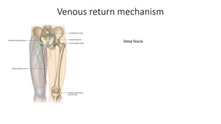 Venous drainage | PPTX