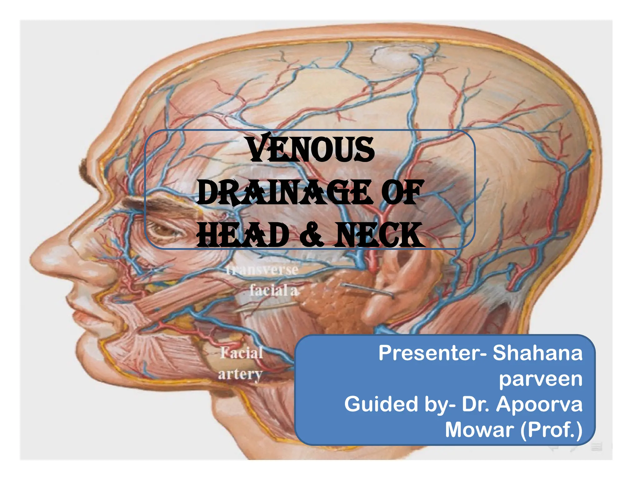 venous drainage of head & Neck in human body | PPTX