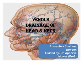 venous drainage of head & Neck in human body | PPTX