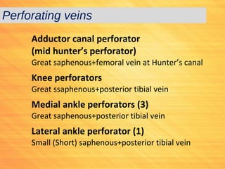 Lower limb exclusive: Venous and lymphatic drainage | PPT