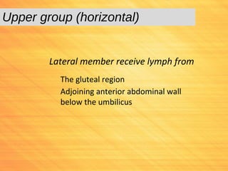 Lower limb exclusive: Venous and lymphatic drainage | PPT