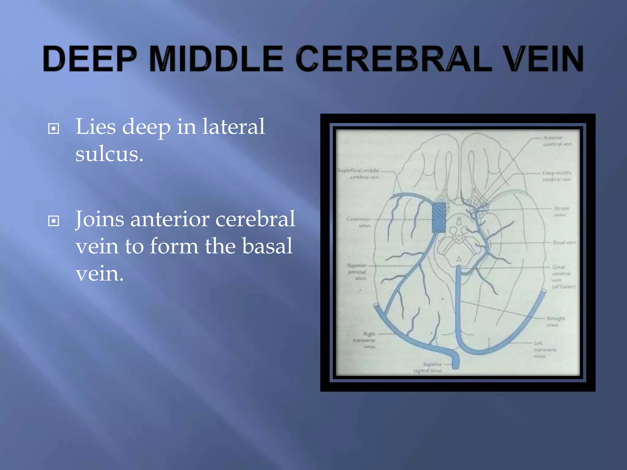 Venous drainage of brain | PPTX