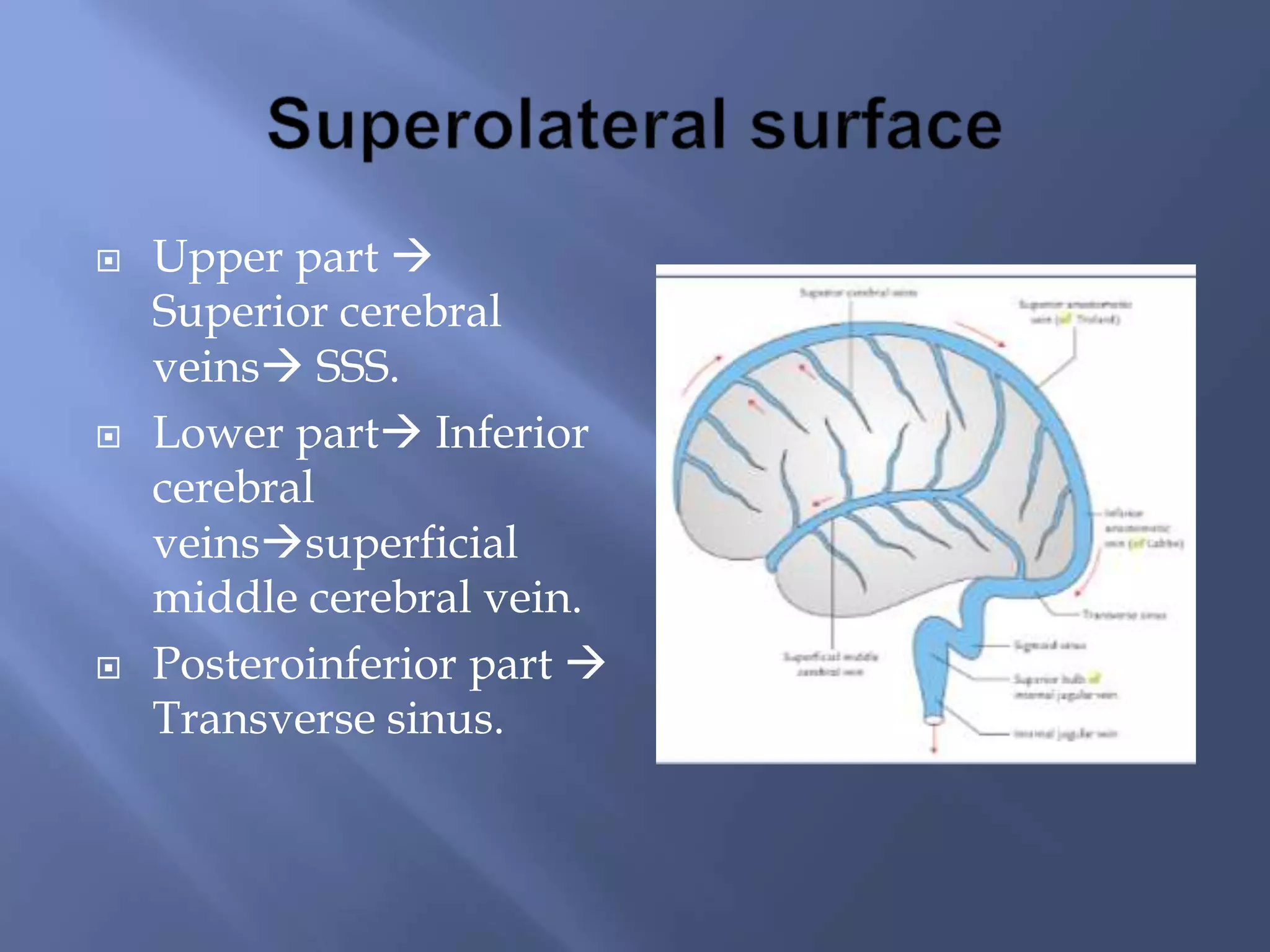 Venous drainage of brain | PPTX