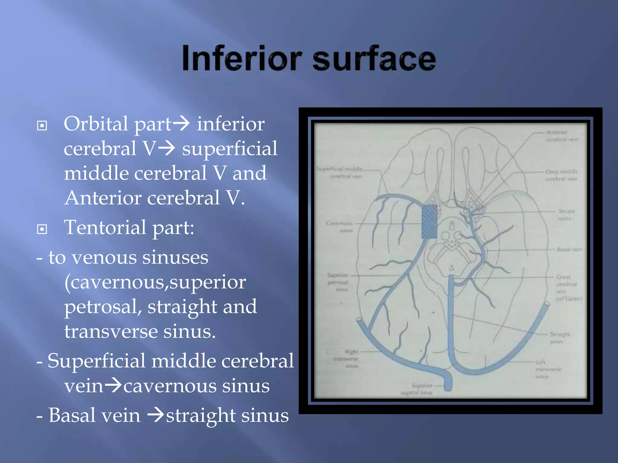 Venous drainage of brain | PPTX
