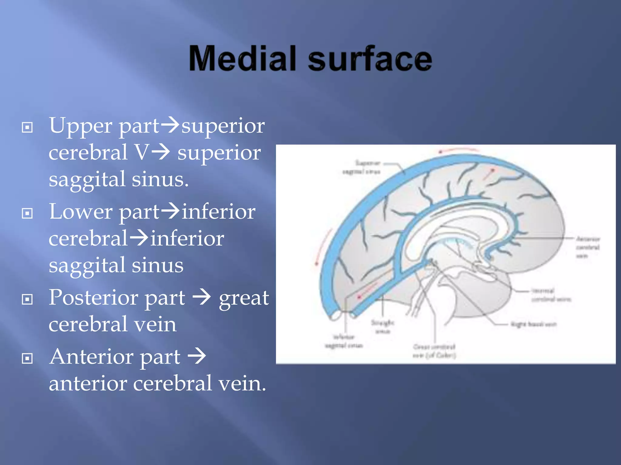 Venous drainage of brain | PPTX