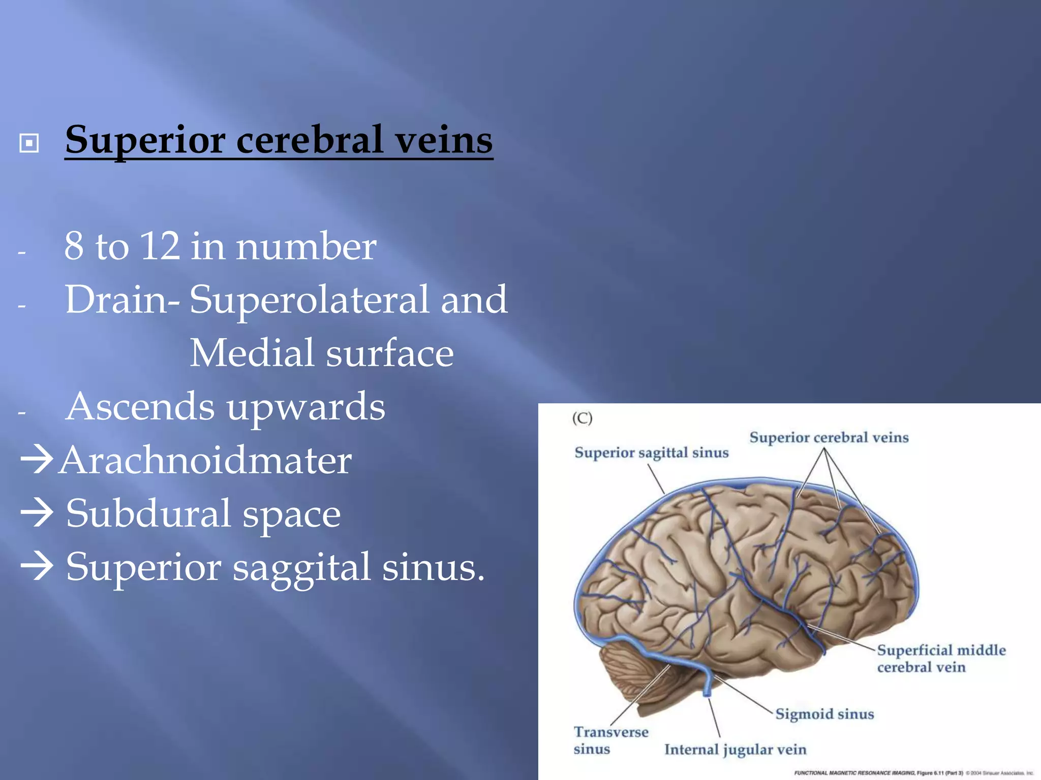 Venous drainage of brain | PPTX