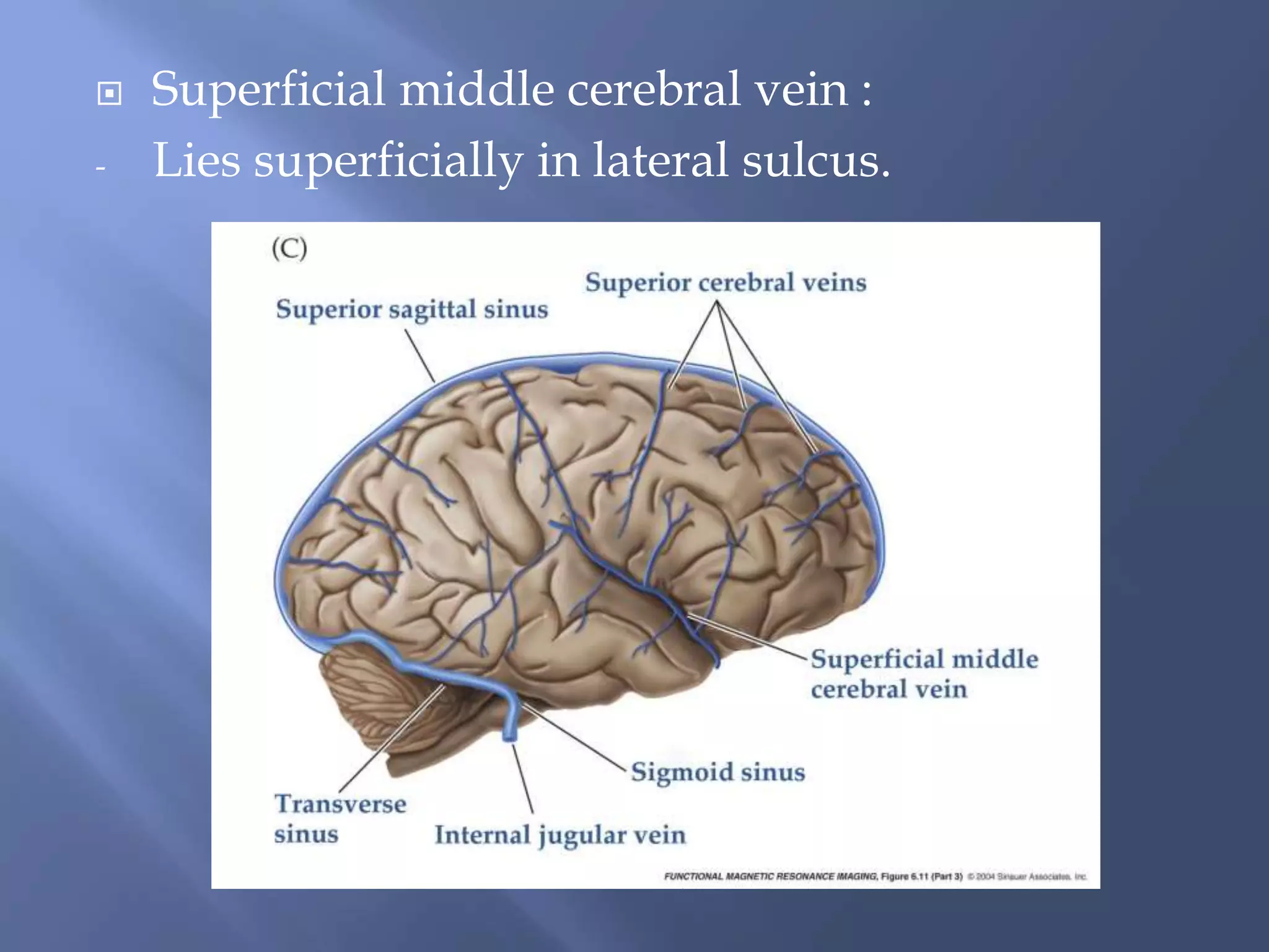 Venous drainage of brain | PPTX
