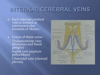 Venous drainage of brain | PPTX