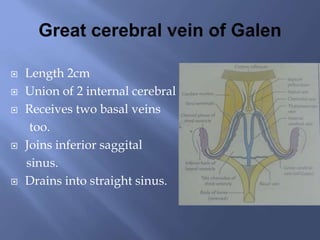 Venous drainage of brain | PPTX