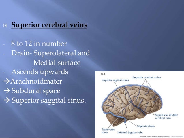Venous drainage of brain