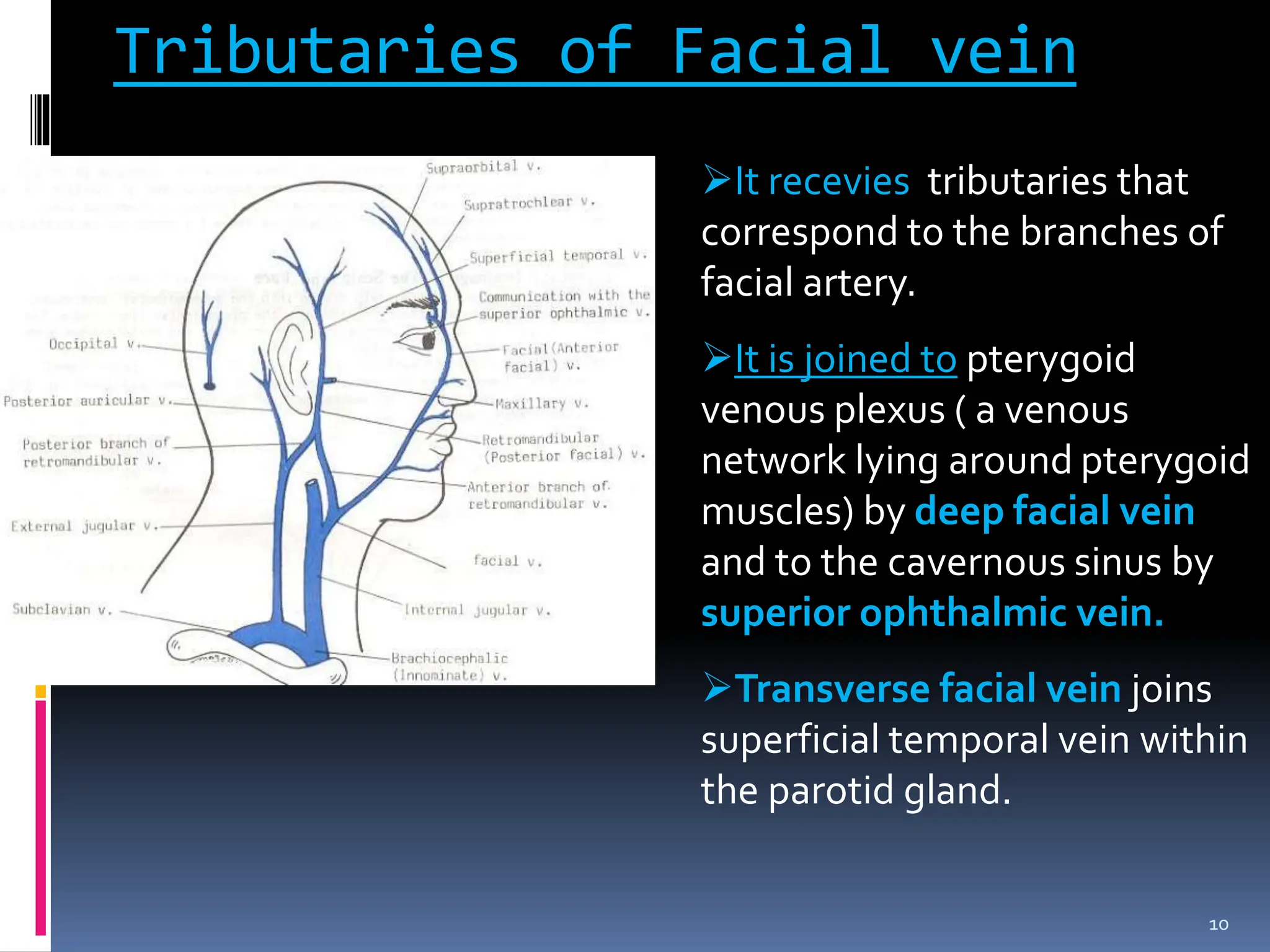 VENOUS DRAINAGE OF FACE.pptx