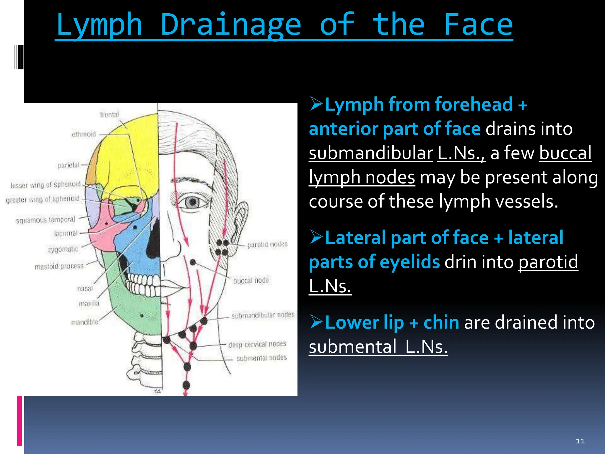 VENOUS DRAINAGE OF FACE.pptx