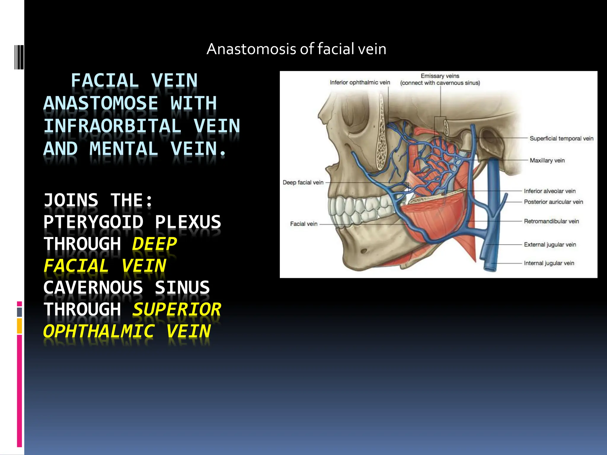 VENOUS DRAINAGE OF FACE.pptx