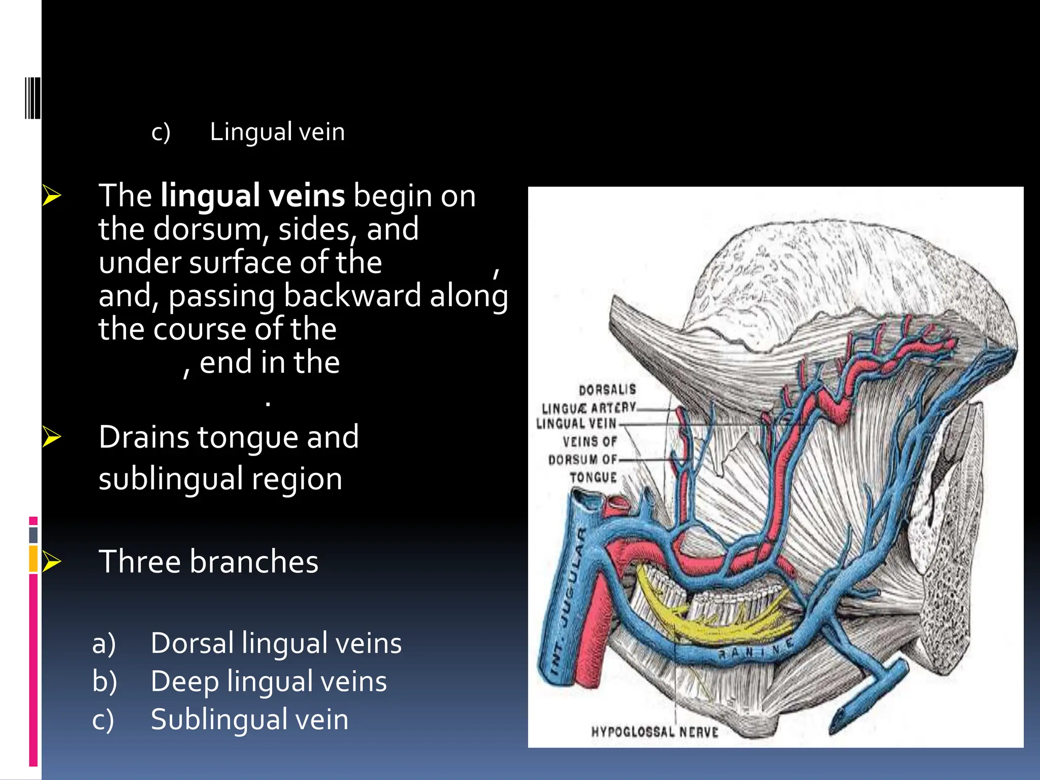 VENOUS DRAINAGE OF FACE.pptx