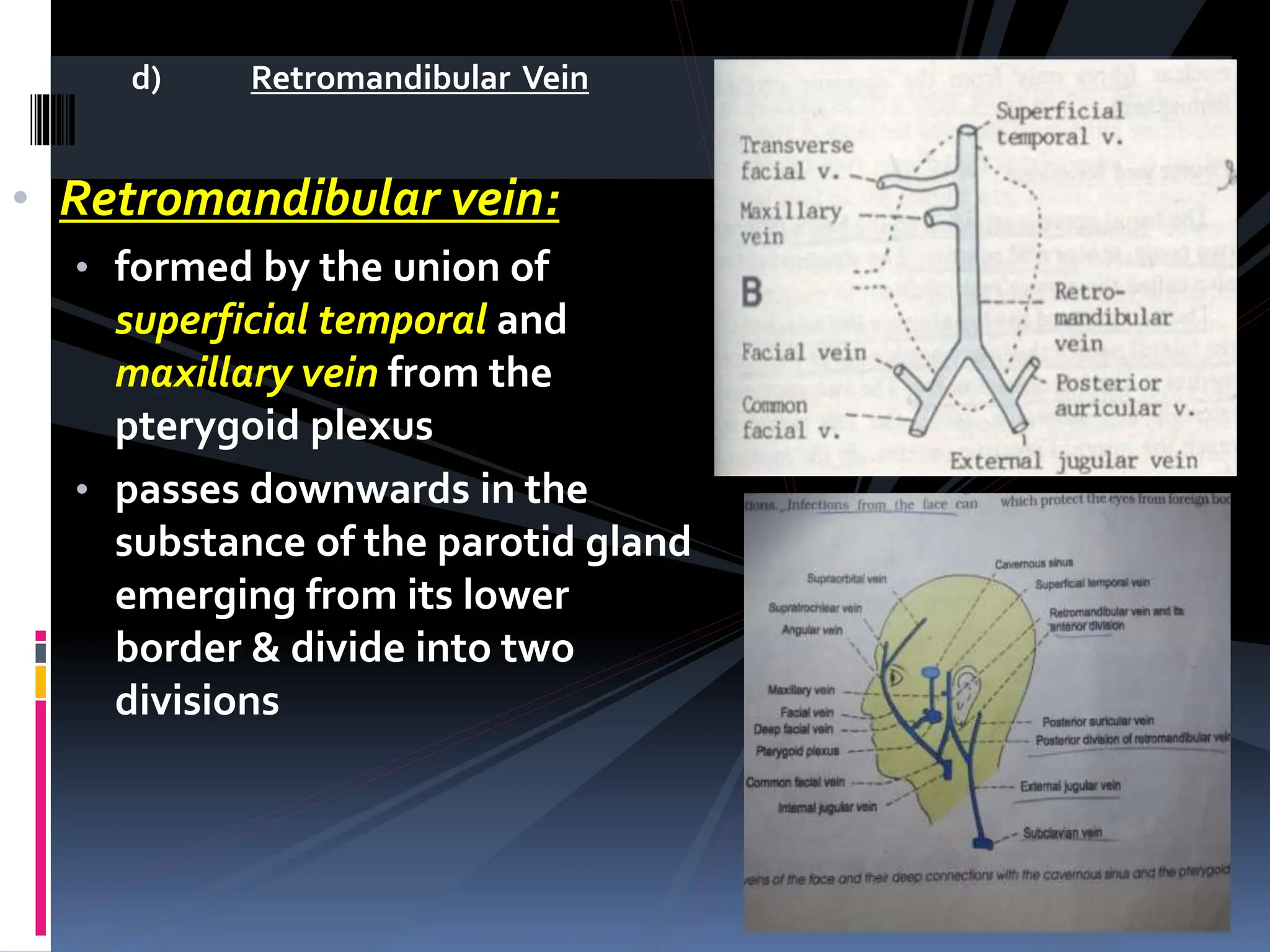 VENOUS DRAINAGE OF FACE.pptx