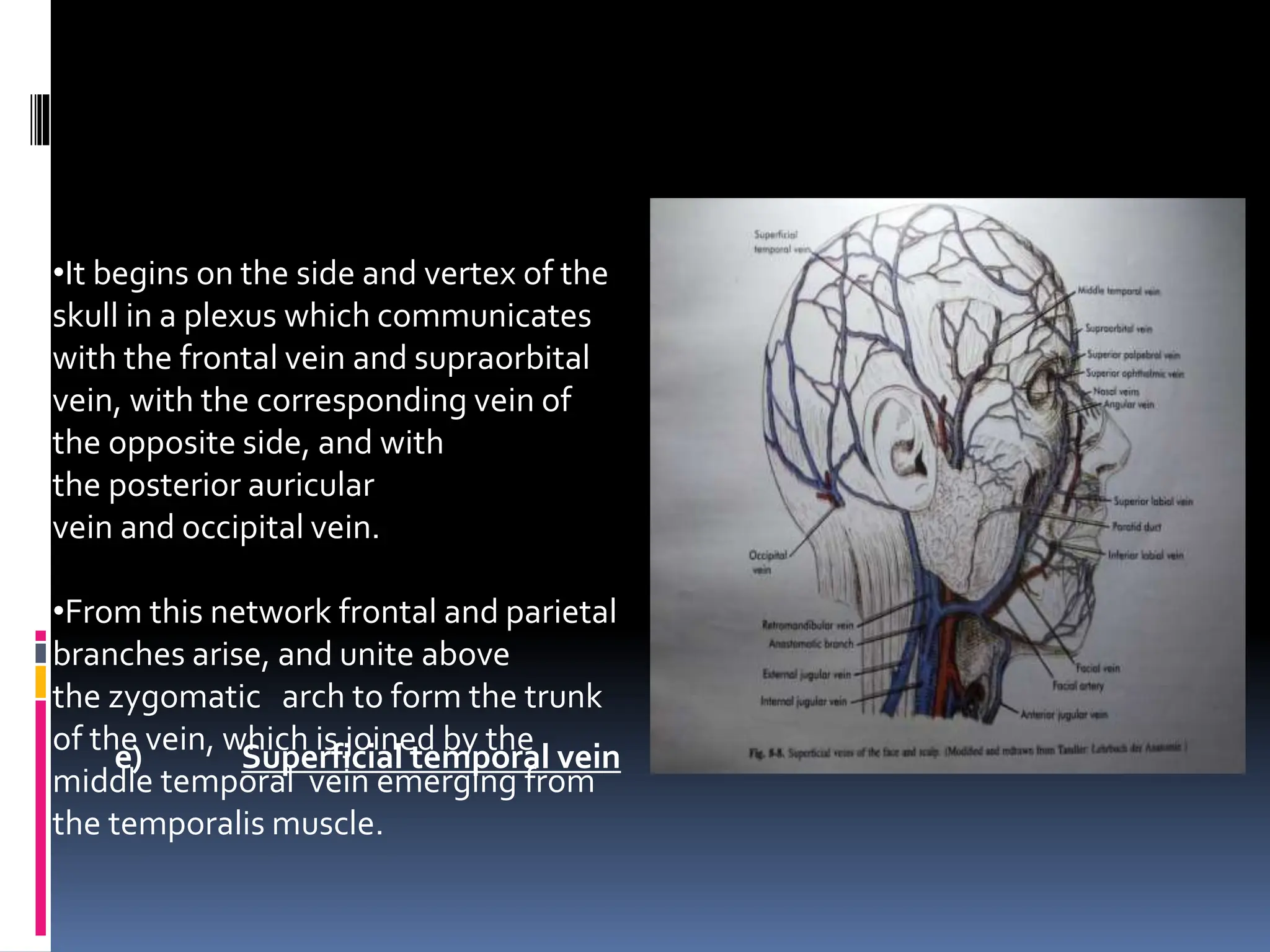 VENOUS DRAINAGE OF FACE.pptx