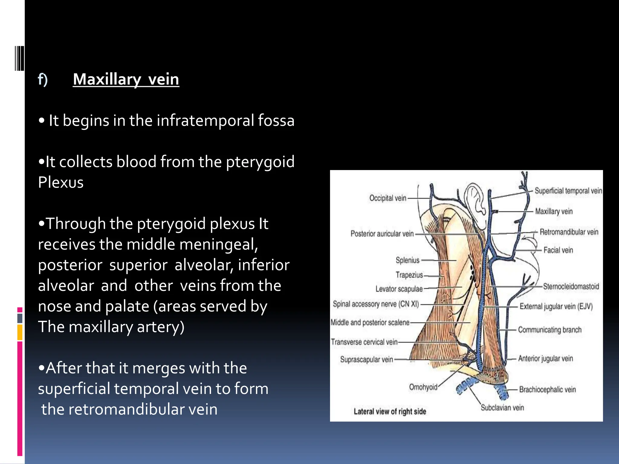 VENOUS DRAINAGE OF FACE.pptx