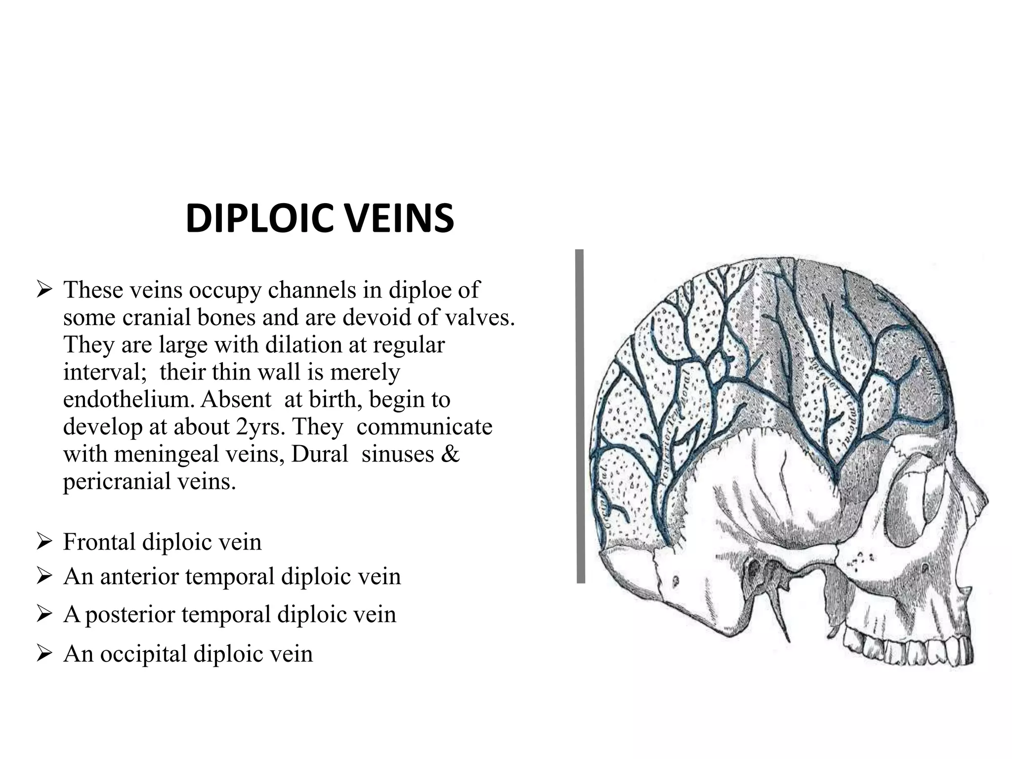 VENOUS DRAINAGE OF HEAD, FACE, NECK AND BRAIN | PPTX