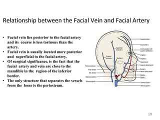 VENOUS DRAINAGE OF HEAD, FACE, NECK AND BRAIN | PPTX