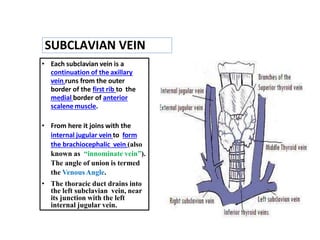 VENOUS DRAINAGE OF HEAD, FACE, NECK AND BRAIN | PPTX