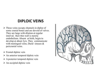 VENOUS DRAINAGE OF HEAD, FACE, NECK AND BRAIN | PPTX