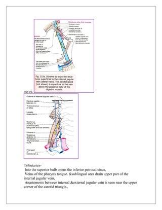 Venous drainage of head and neck | DOC