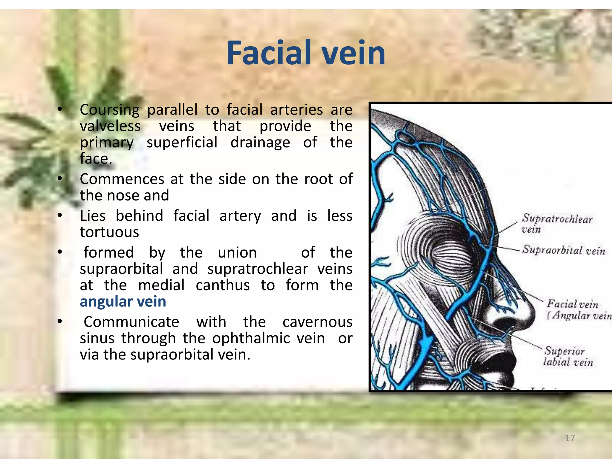 Venous drainage of head and neck | PPTX