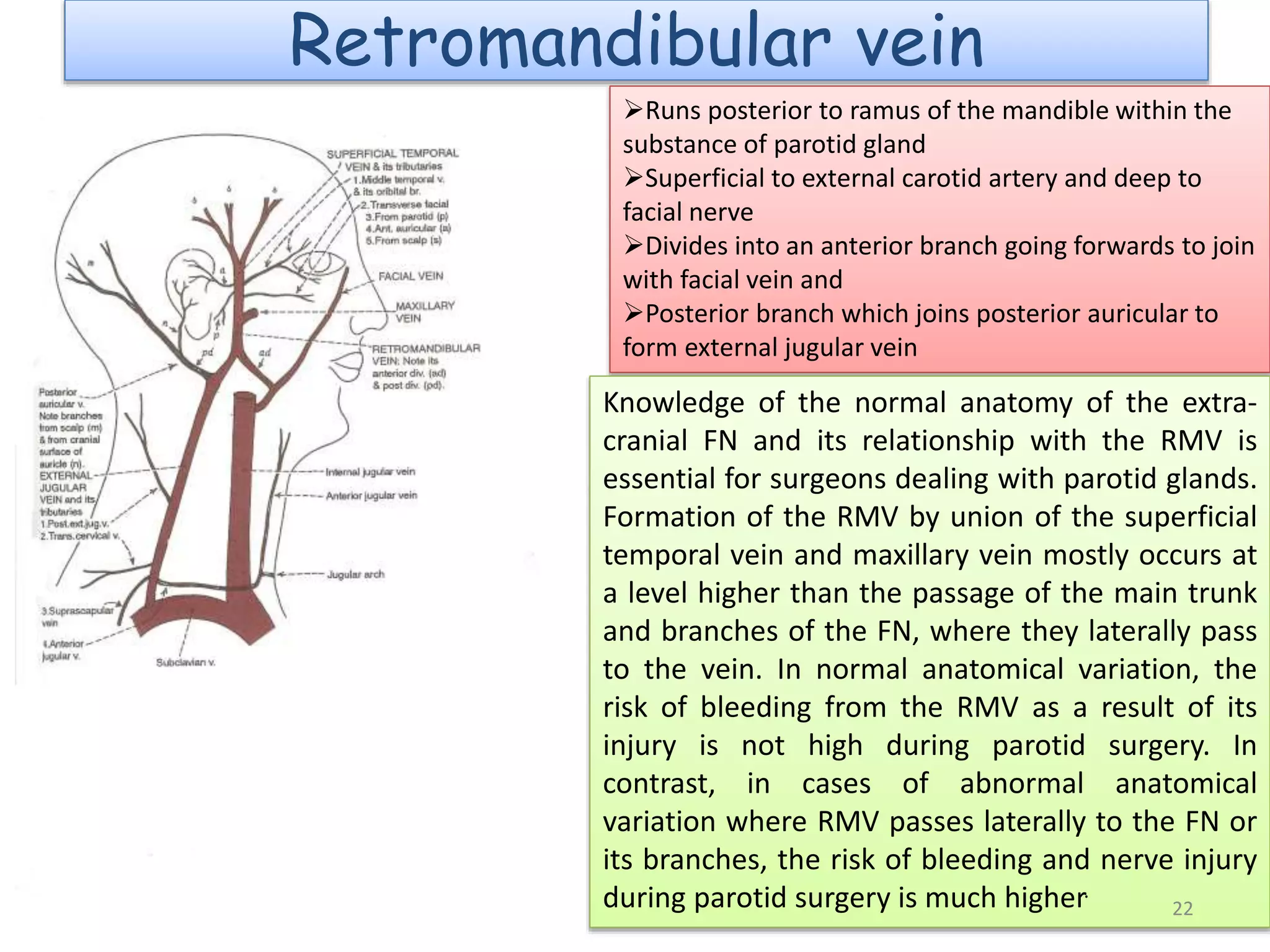 Venous drainage of head and neck | PPTX