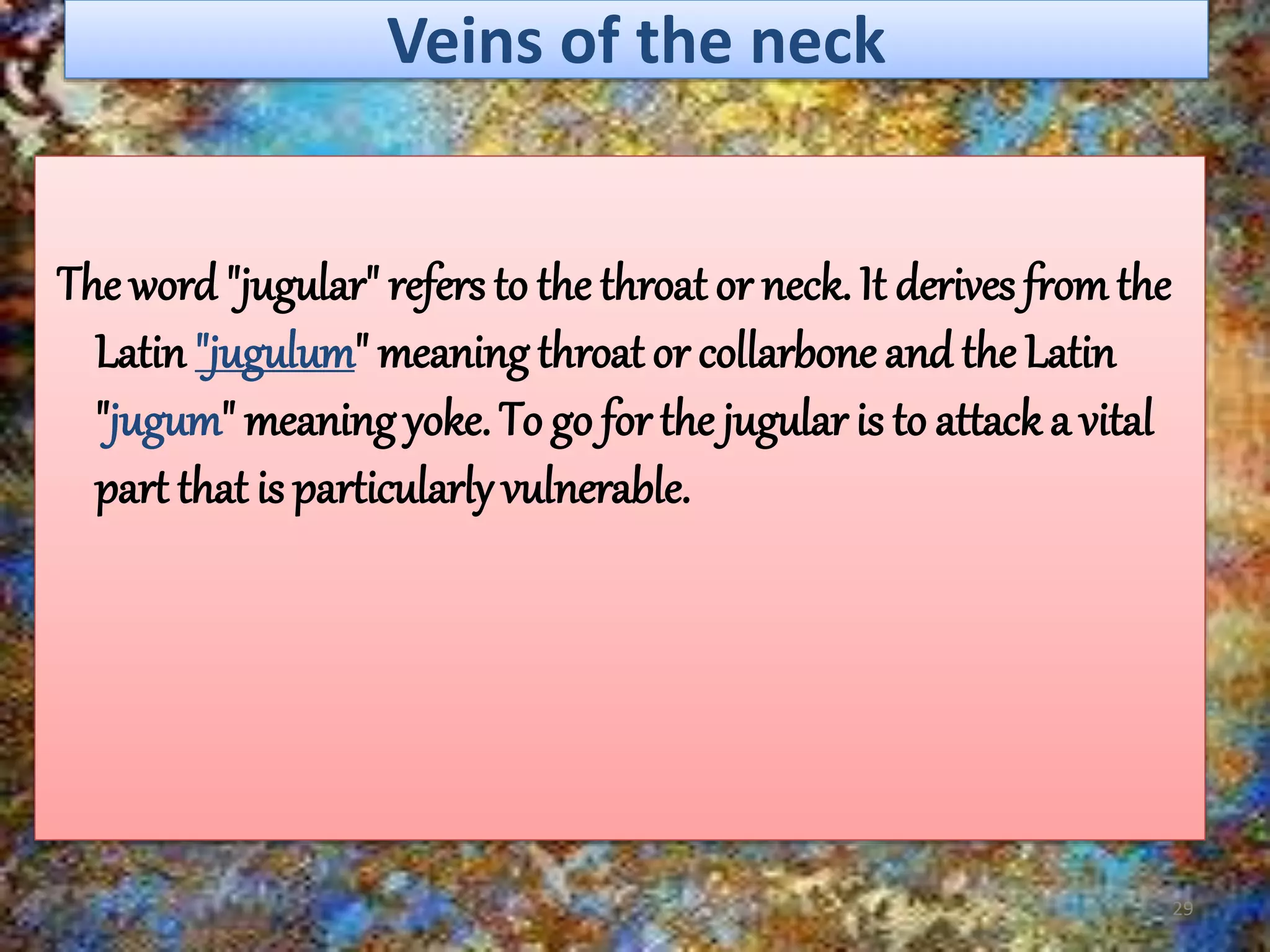 Venous drainage of head and neck | PPTX