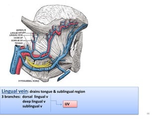 Venous drainage of head and neck | PPTX