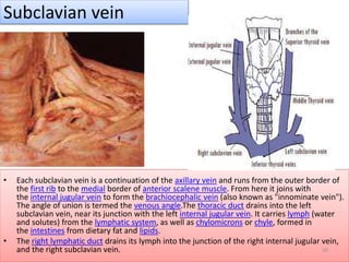 Venous drainage of head and neck | PPTX