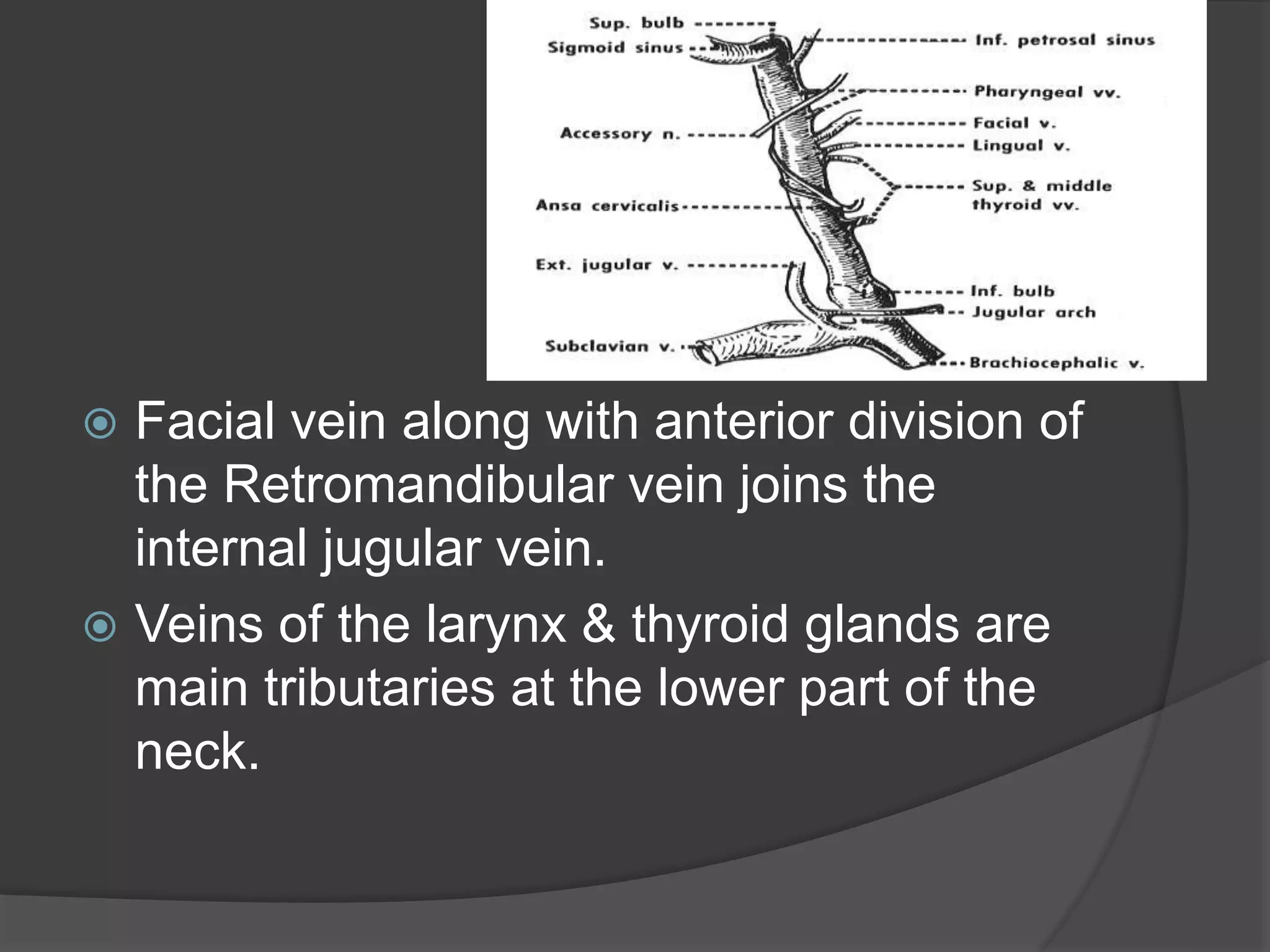 Venous drainage of head , neck and face | PPTX