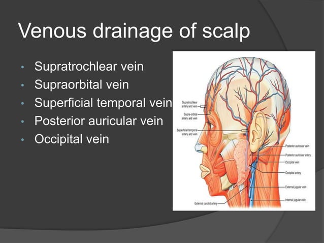 Venous drainage of head , neck and face | PPTX
