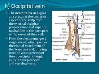 Venous drainageof head and neck ih | PPTX